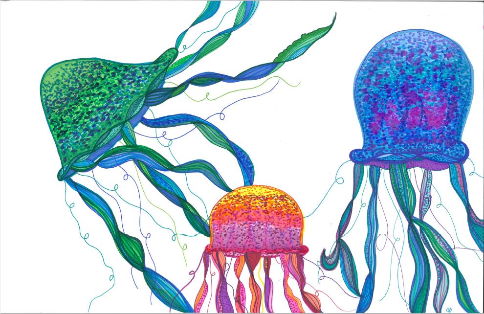 Medusa V – jennifer bingaman